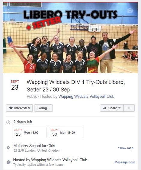 Wapping Wildcats Volleyball London